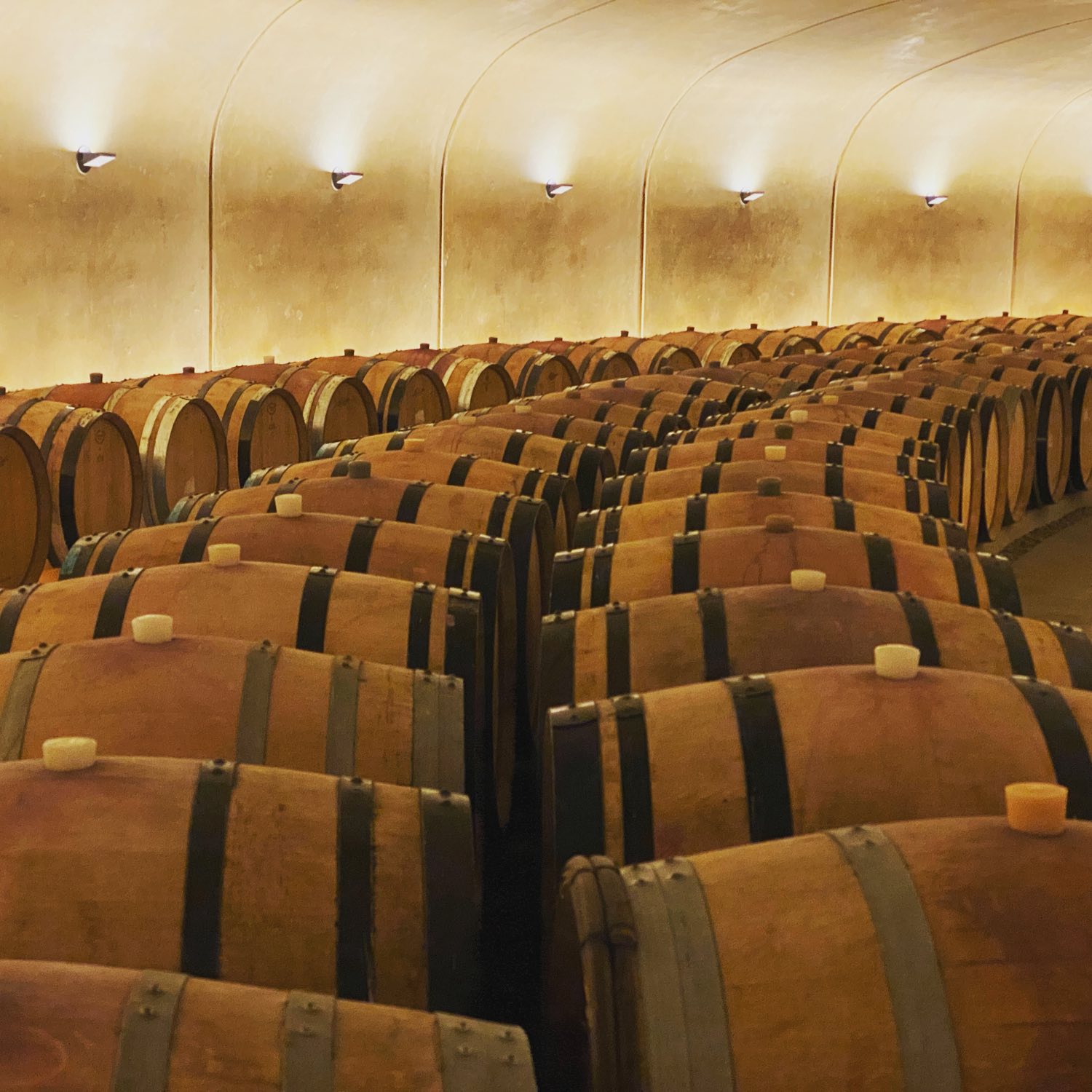 Revealing the Secrets of Abbott Claim – A Carlton, Oregon Winery - This ...